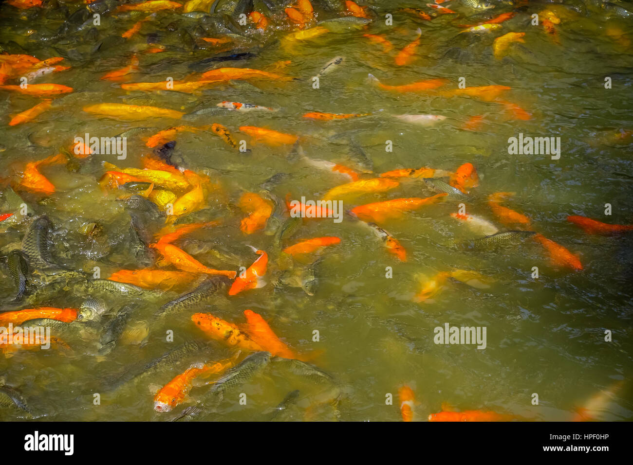 Hua Lian High Resolution Stock Photography and Images - Alamy