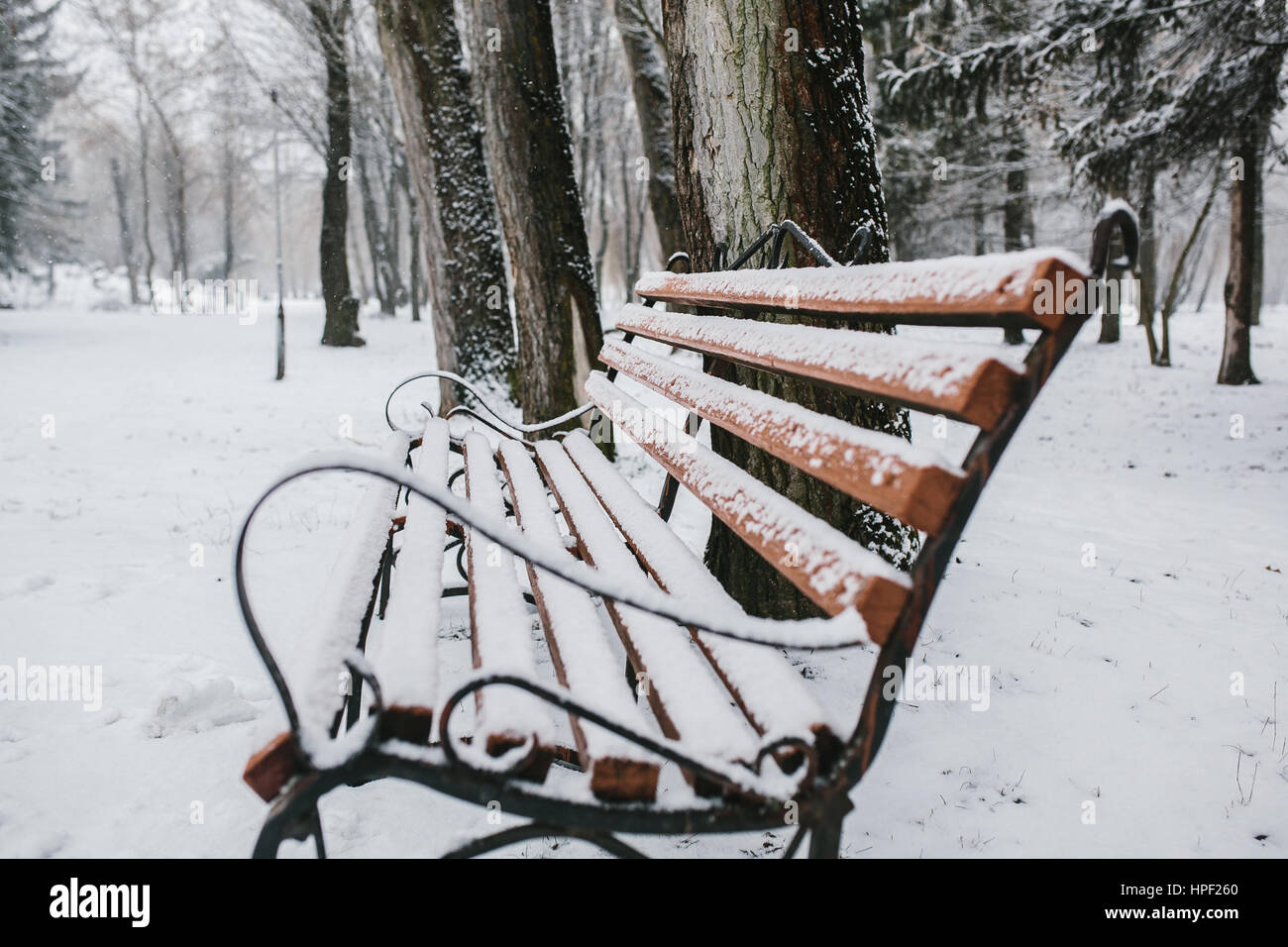 image of decorative wrought wooden bench with snow and ice Stock Photo ...