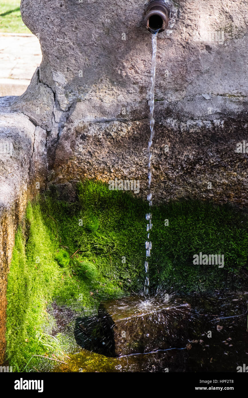 Garden water feature algae hi-res stock photography and images - Alamy
