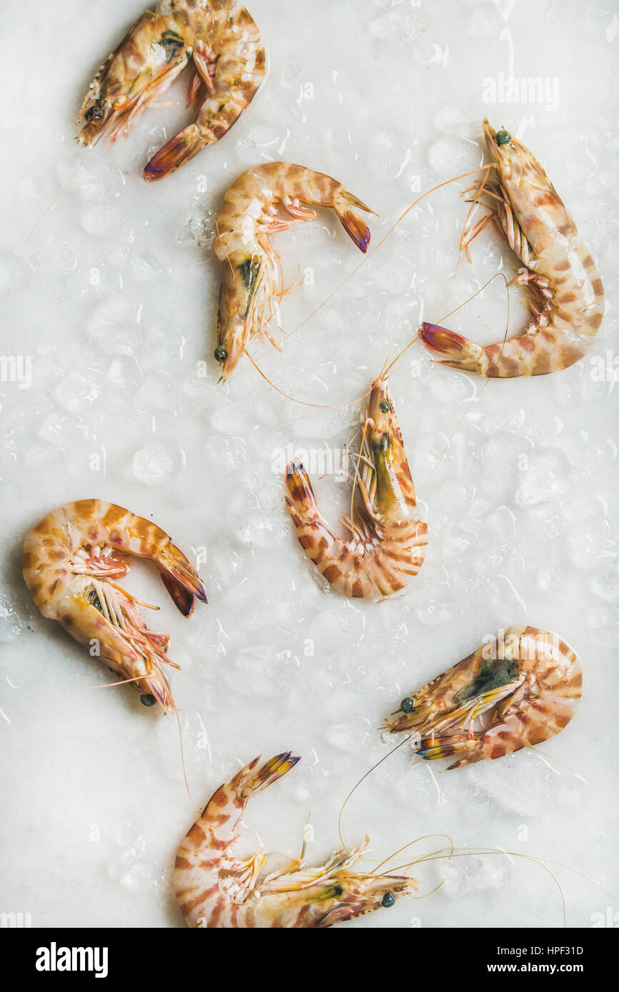 Raw uncooked tiger prawns on chipped ice over light grey background ...