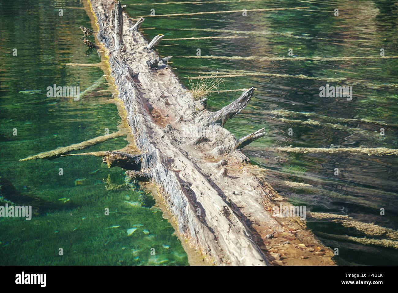 Log floating hi-res stock photography and images - Alamy
