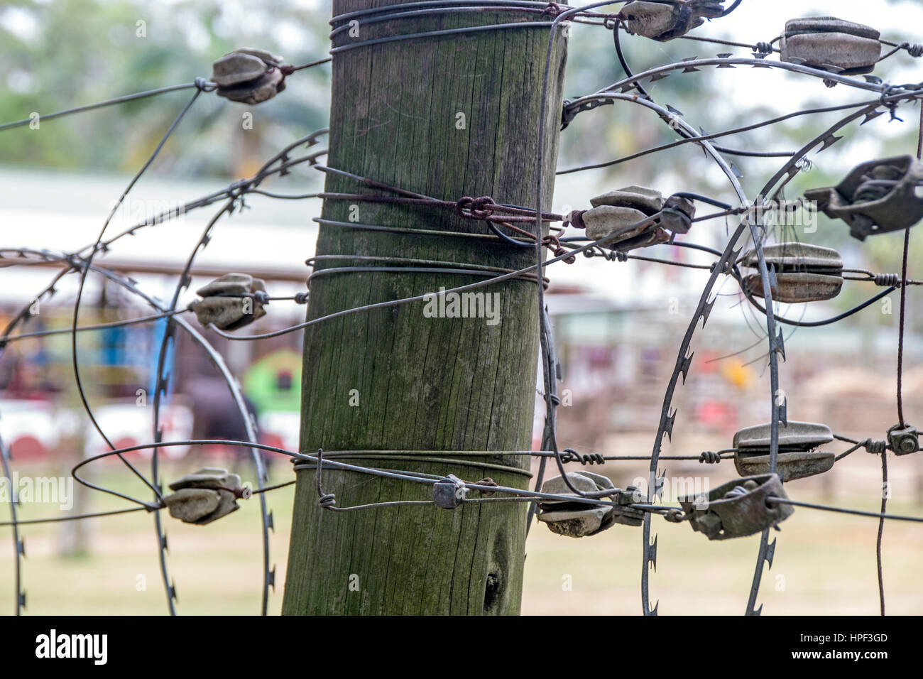 Tangled fence wire hi-res stock photography and images - Alamy