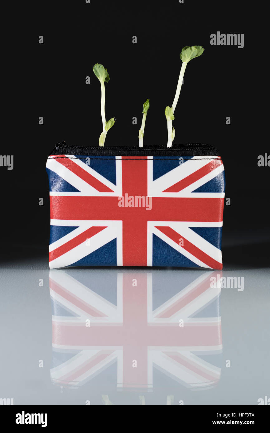 Union Jack coin purse + green shoots of business sprouting against dark ...