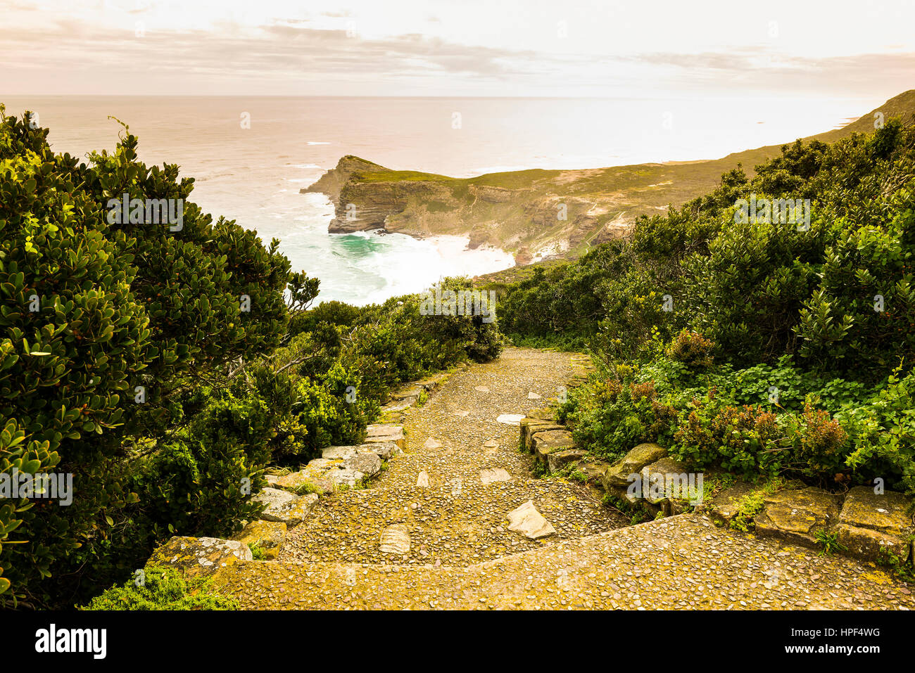 Pathway at dusk along the Cape of Good Hope, Western Cape, South Africa ...