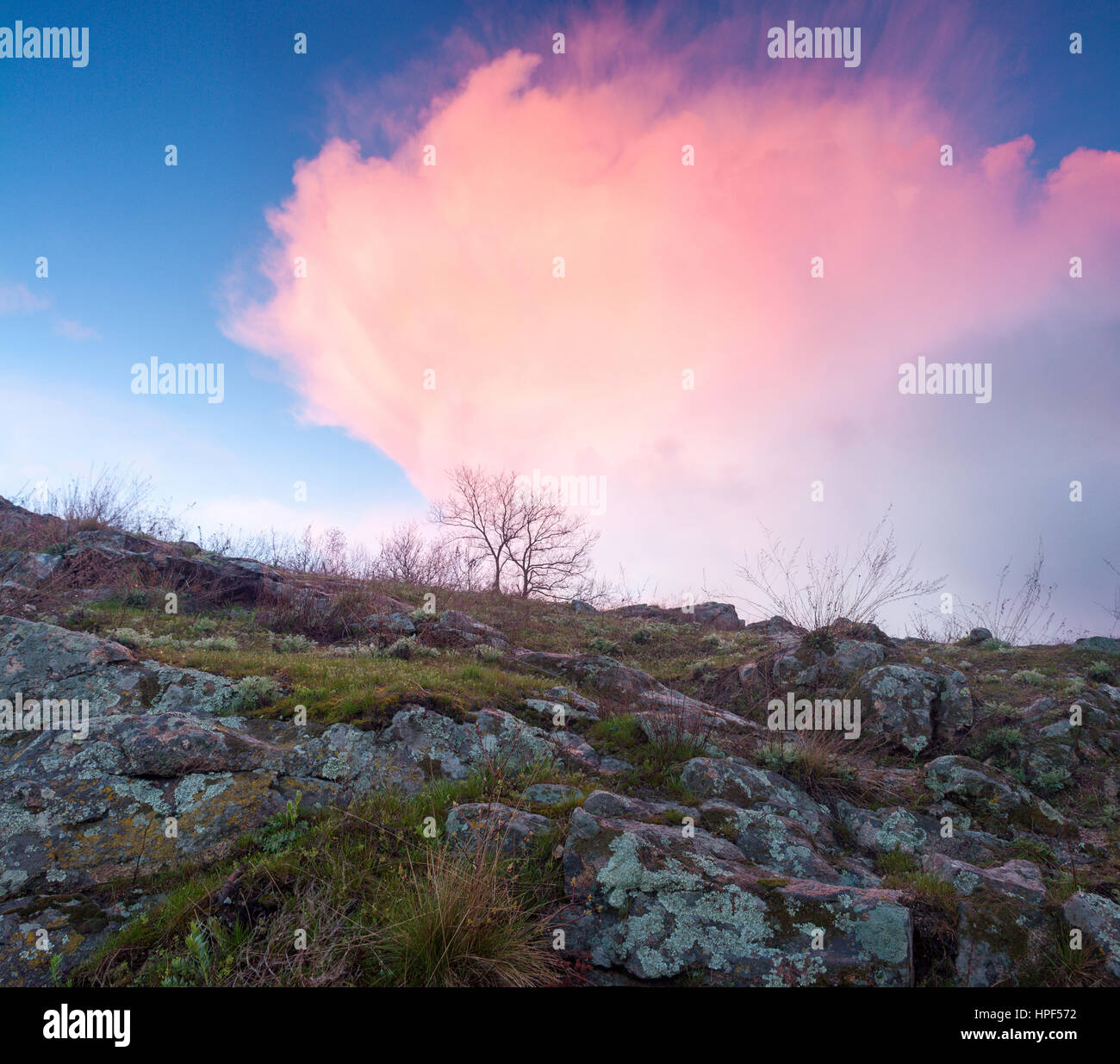 Spring rocks hi-res stock photography and images - Alamy