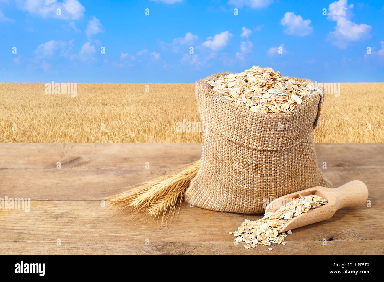 Oat flakes in sack. Ears of oats and oatmeal in bag on table with field ...