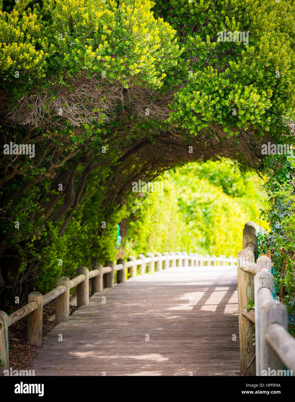 Nature boardwalk through green archway Stock Photo - Alamy