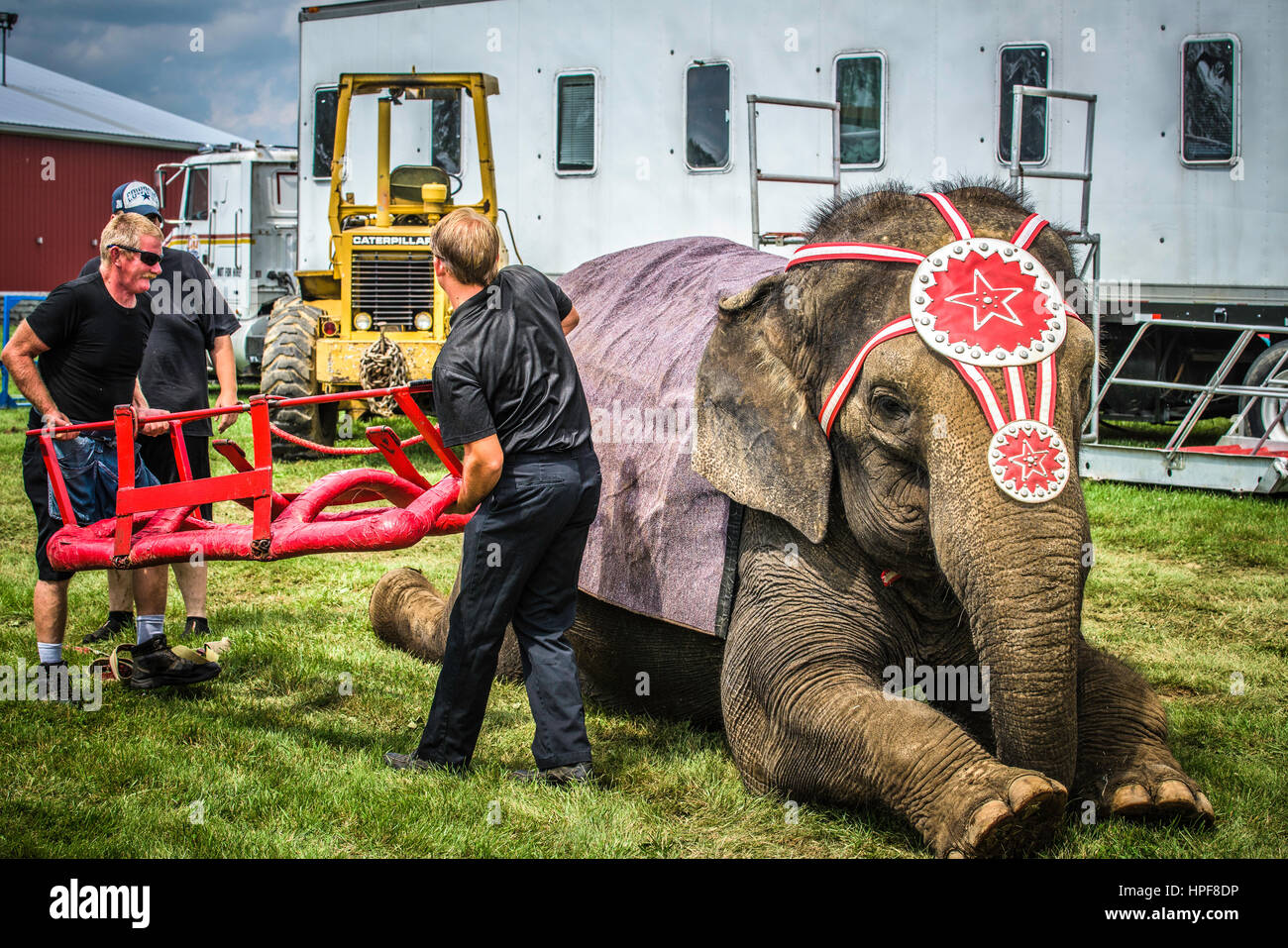 Cole Brothers Circus. Last season before closing Stock Photo - Alamy