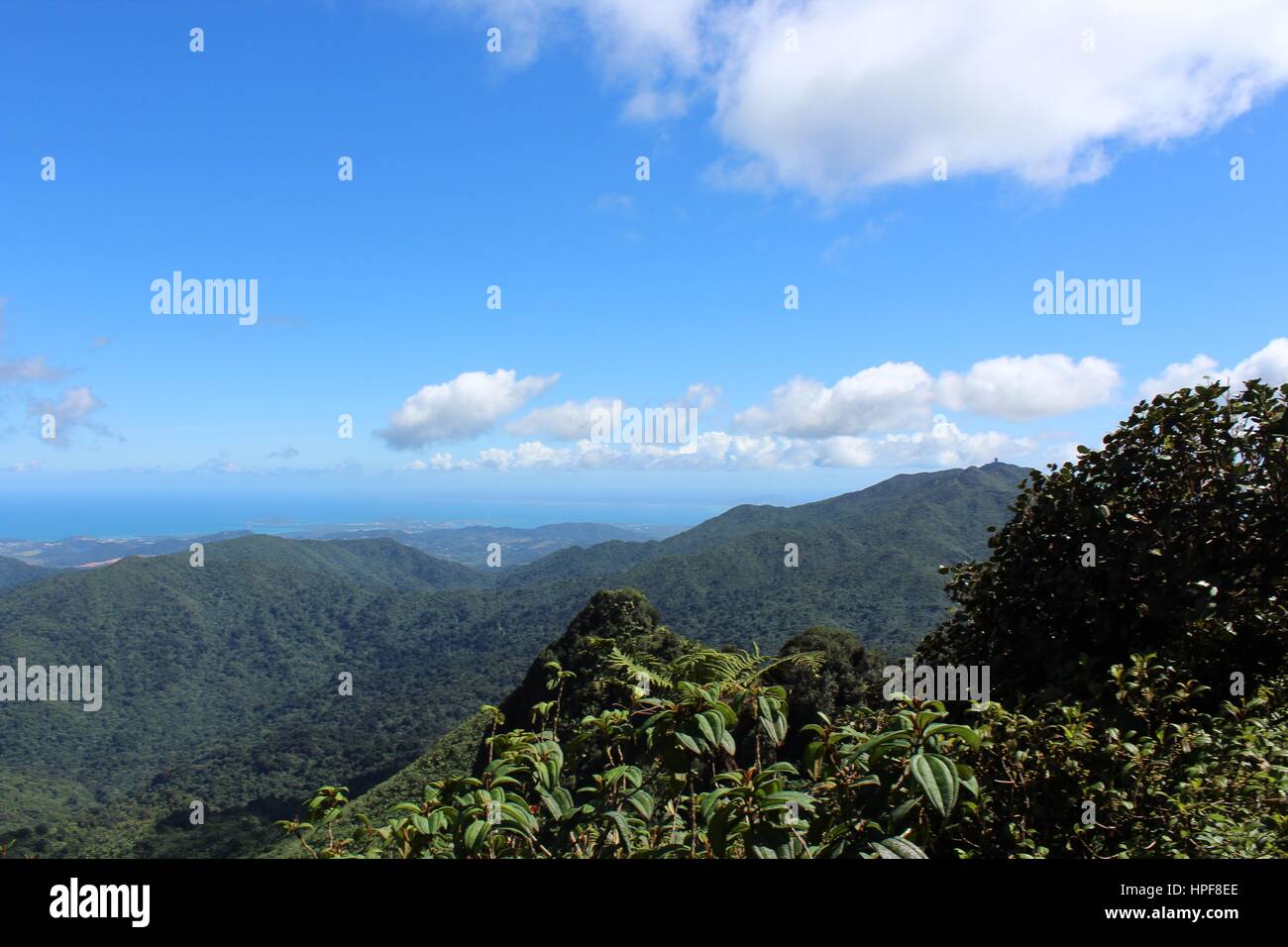 El Yunque Mountains High Resolution Stock Photography and Images - Alamy