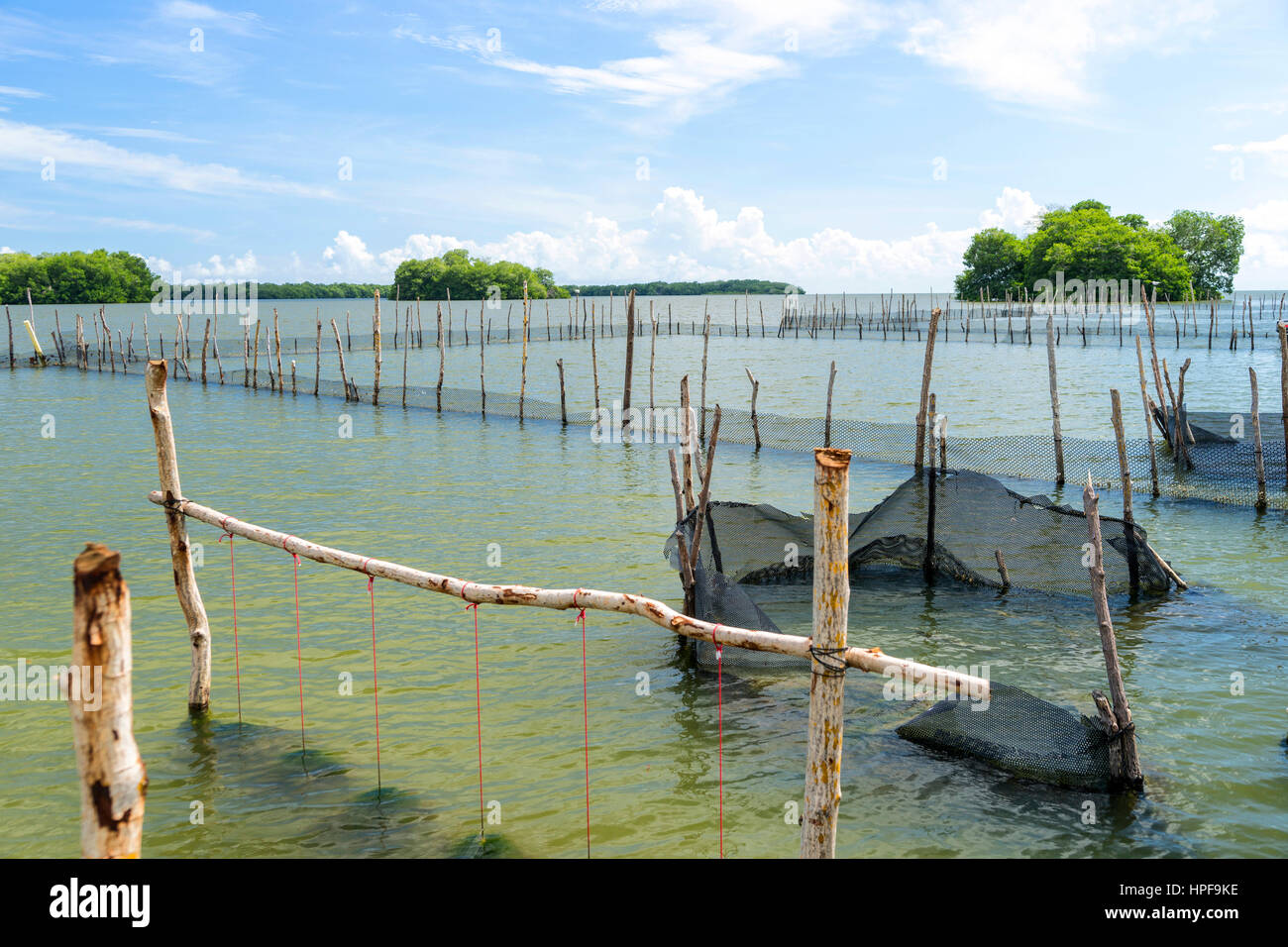 Oyster grounds hi-res stock photography and images - Alamy