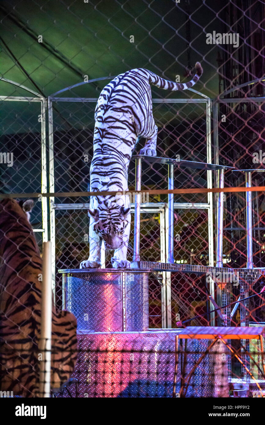 Cole Brothers Circus. Last season before closing Stock Photo - Alamy