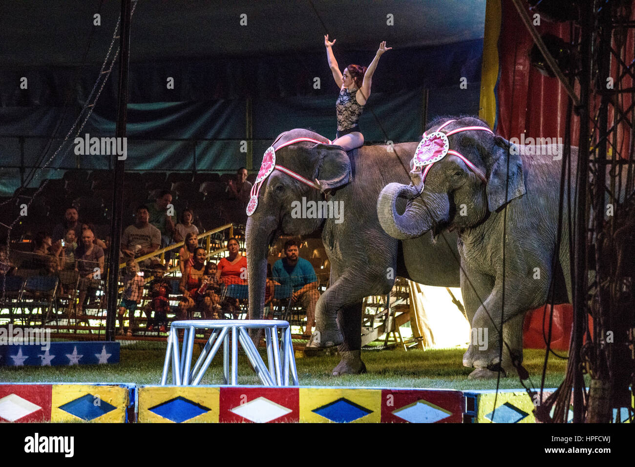 Cole Brothers Circus. Last season before closing Stock Photo - Alamy