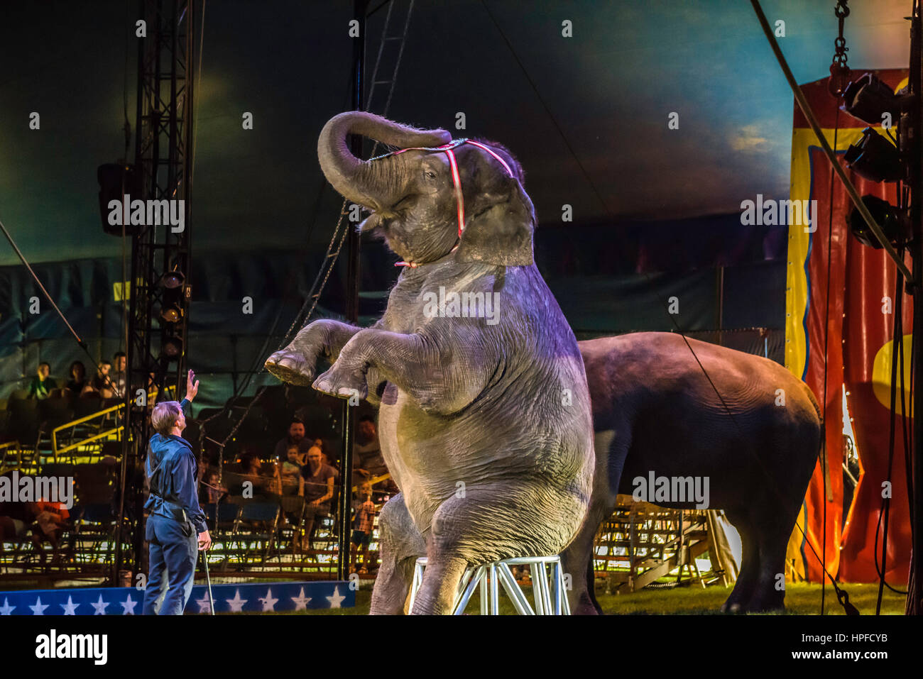 Cole Brothers Circus. Last season before closing Stock Photo - Alamy