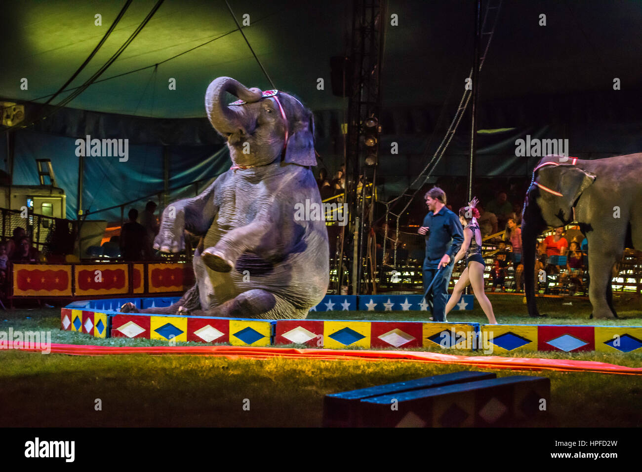Cole Brothers Circus. Last season before closing Stock Photo - Alamy
