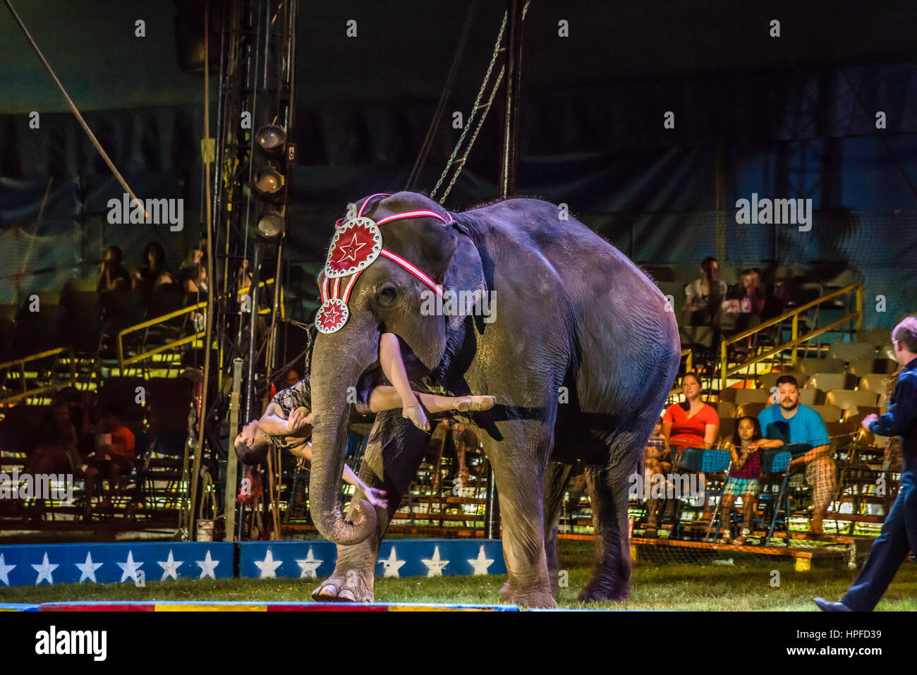 Cole Brothers Circus. Last season before closing Stock Photo - Alamy