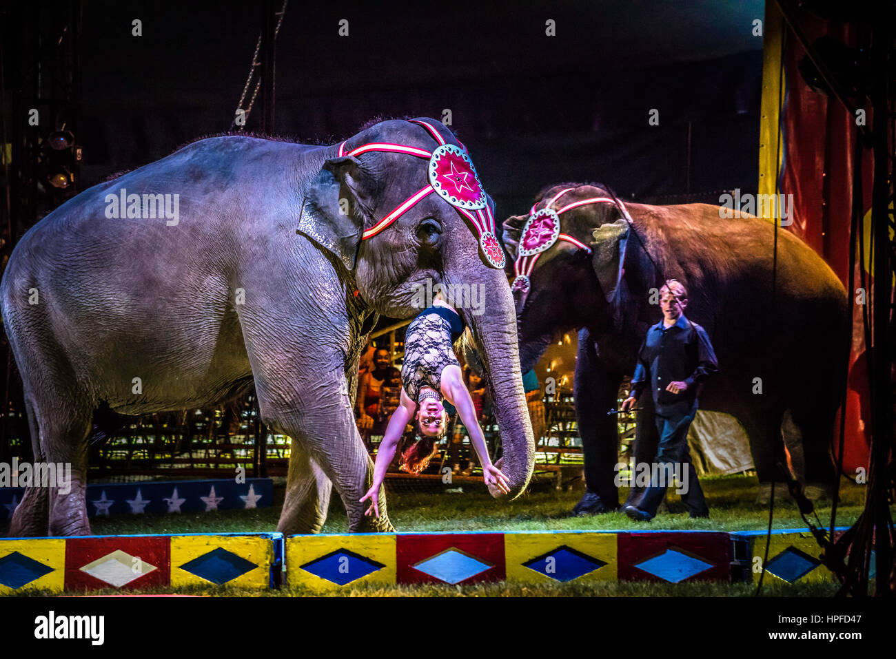 Cole Brothers Circus. Last season before closing Stock Photo - Alamy