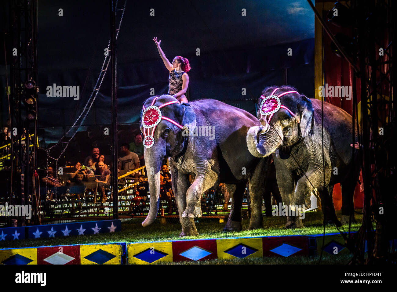 Cole Brothers Circus. Last season before closing Stock Photo - Alamy
