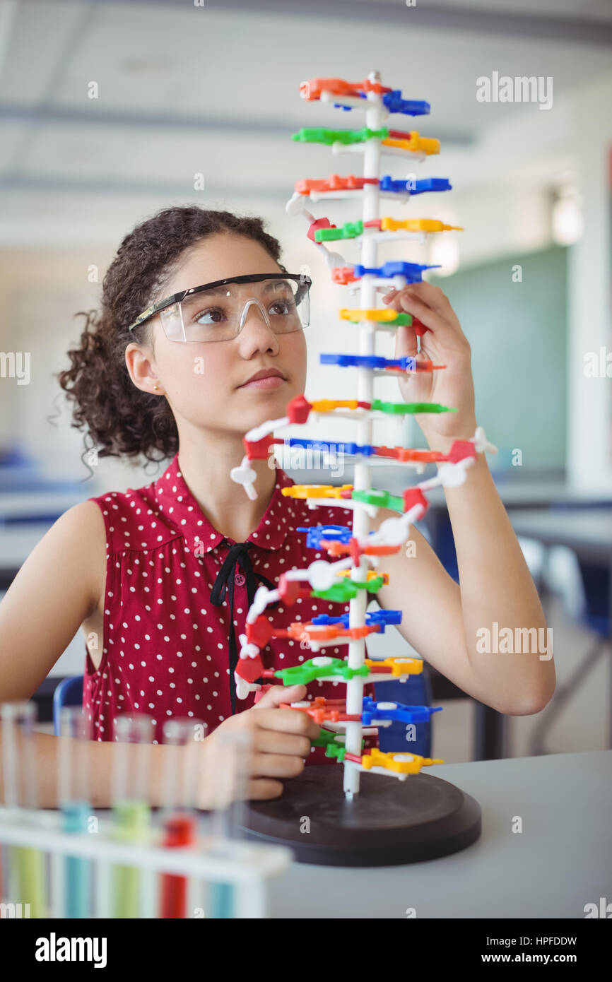 Attentive schoolgirl experimenting molecule model in laboratory at ...