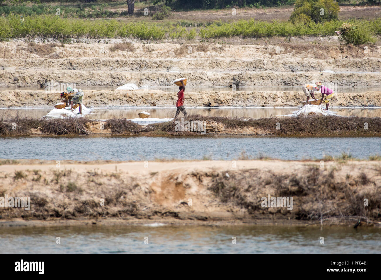 Salt harvesting hi-res stock photography and images - Alamy