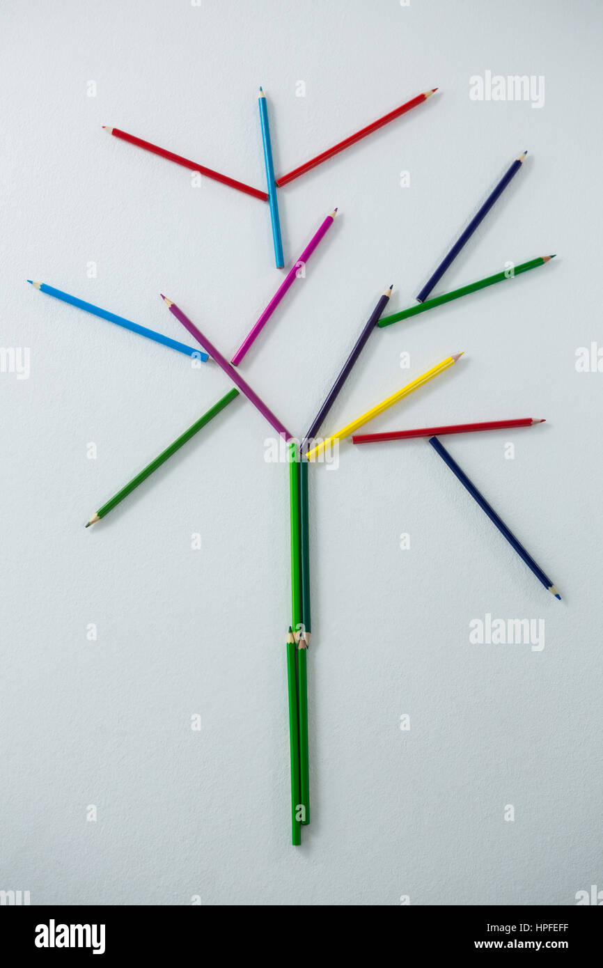Colored pencil forming a tree on white background Stock Photo - Alamy