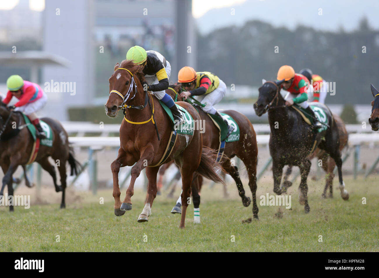 Donki Japan High Resolution Stock Photography and Images - Alamy