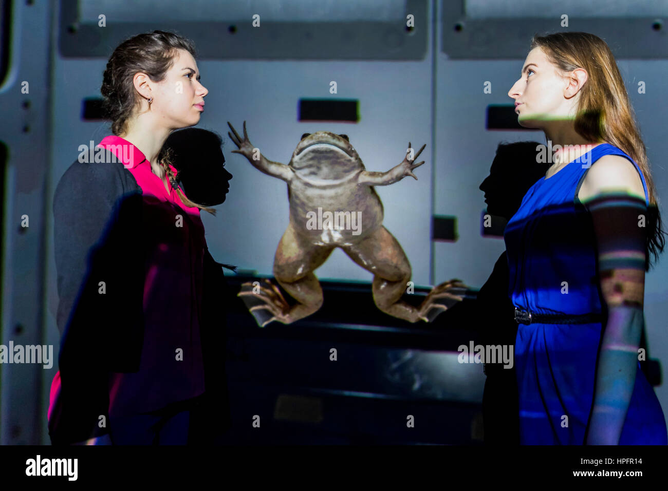 Frog experiment hi-res stock photography and images - Alamy