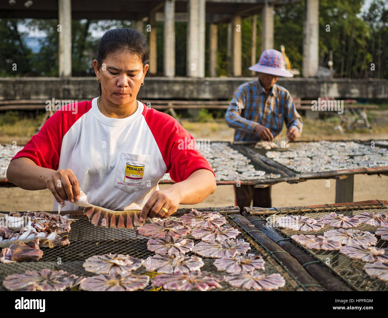 Dried sting ray hi-res stock photography and images - Alamy