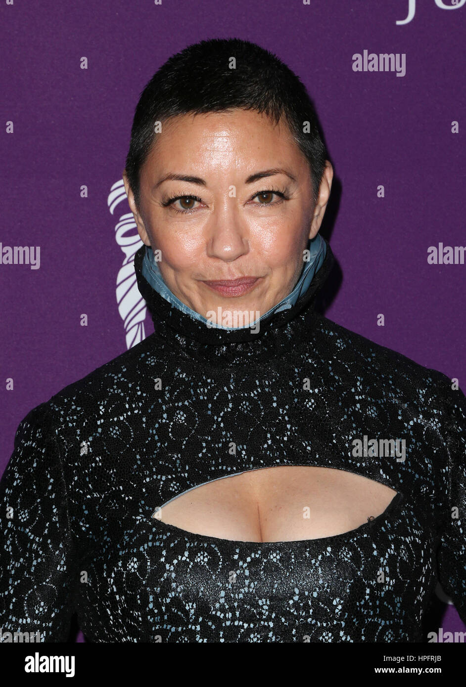 Beverly Hills, CA. 21st Feb, 2017. Ane Crabtree, At 19th CDGA (Costume ...