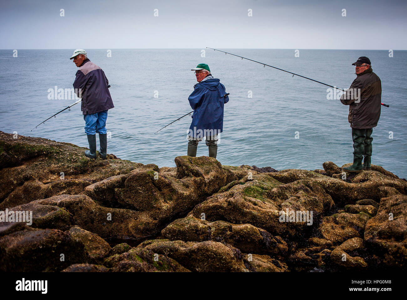 Loire atlantique fish hi-res stock photography and images - Alamy