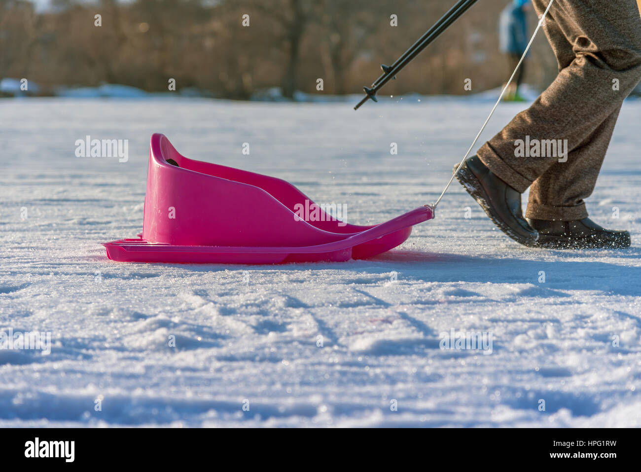 person pulling sledge on the mountain road in woods at sunset Stock ...