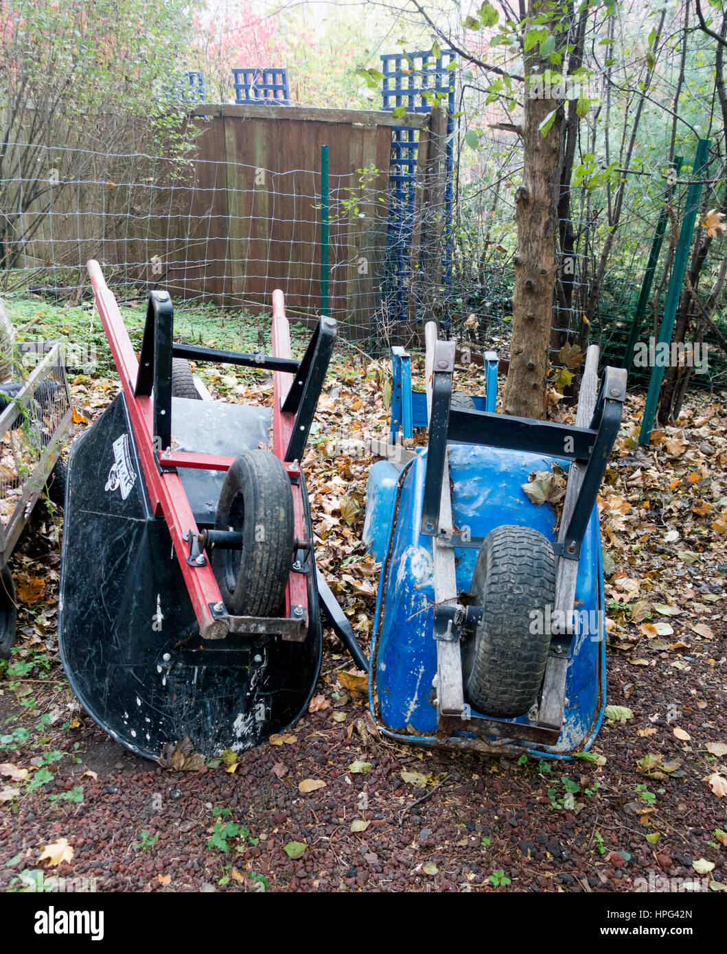 Pair of upside-down wheelbarrows in backyard of home. Downers Grove ...