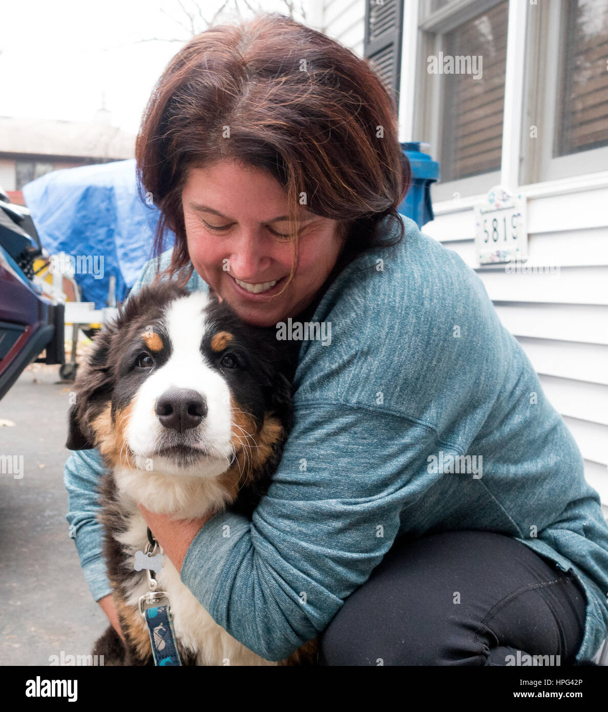 Happy woman hugging her new rather large Bernese Mountain dog puppy ...