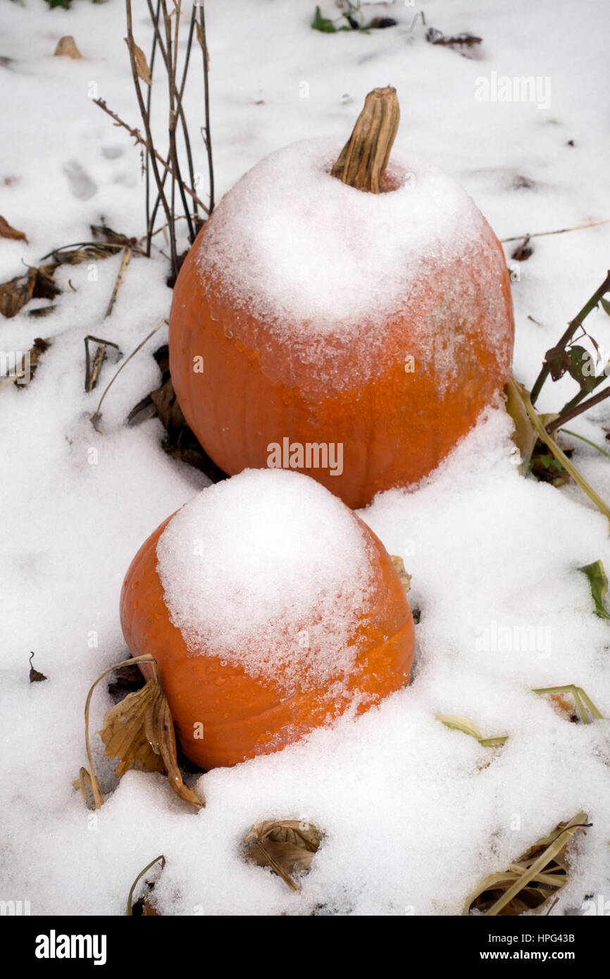 Daytime festivities hi-res stock photography and images - Alamy