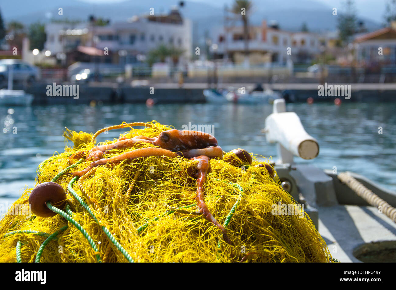 Octopus nets hi-res stock photography and images - Alamy