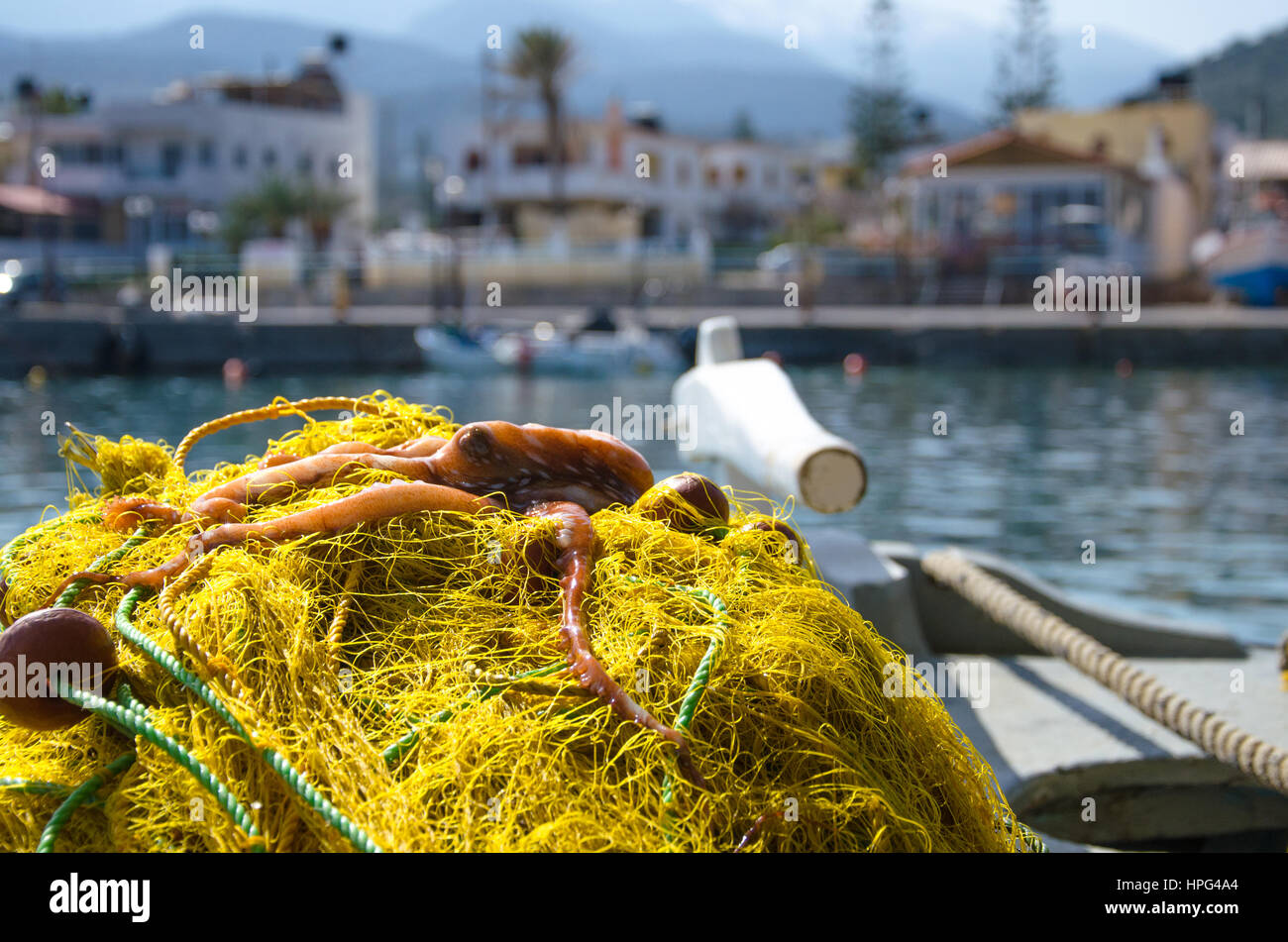 Octopus nets hi-res stock photography and images - Alamy