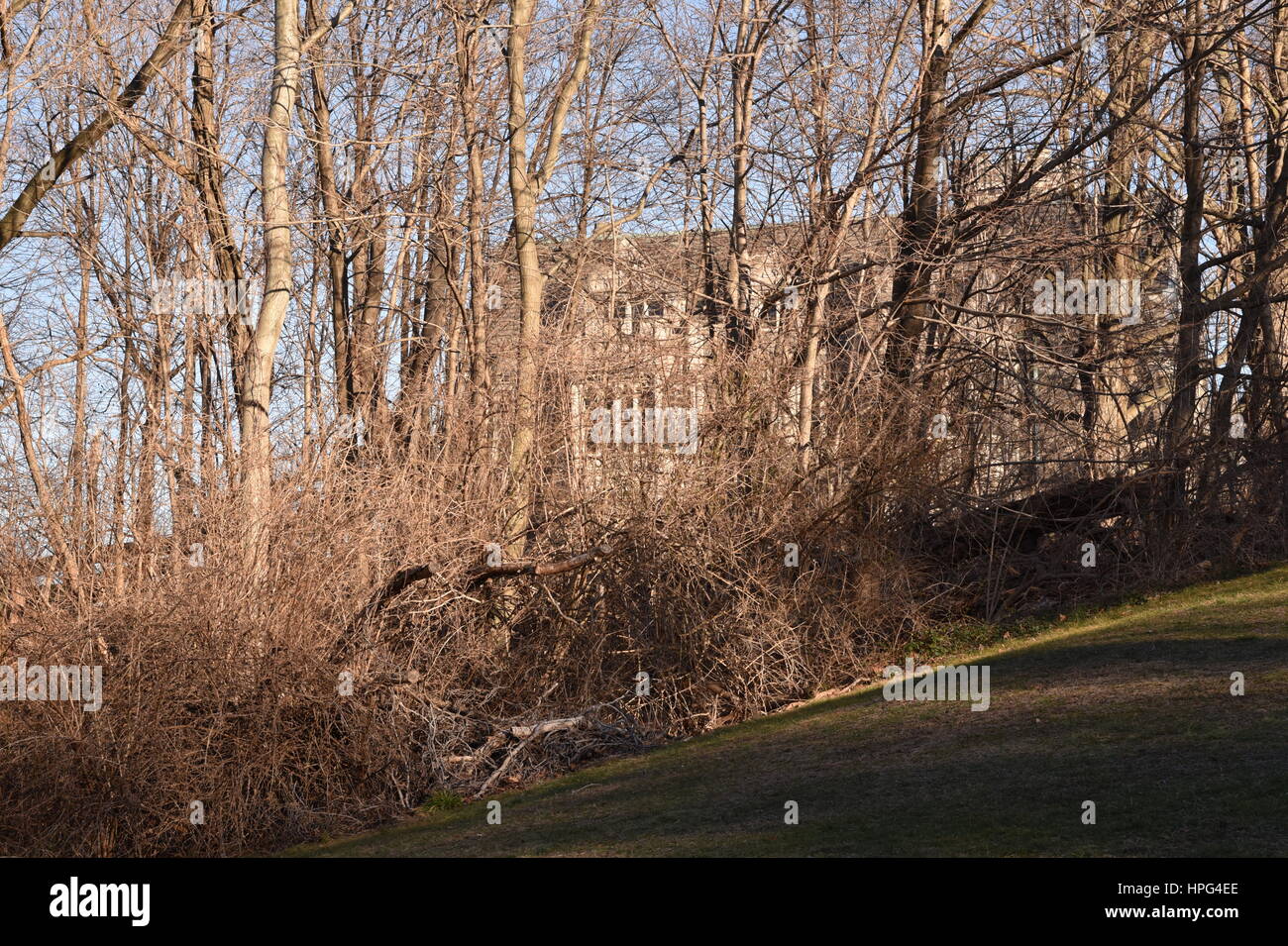 The Sands Point Preserve on the original Guggenheim Estate Stock Photo ...