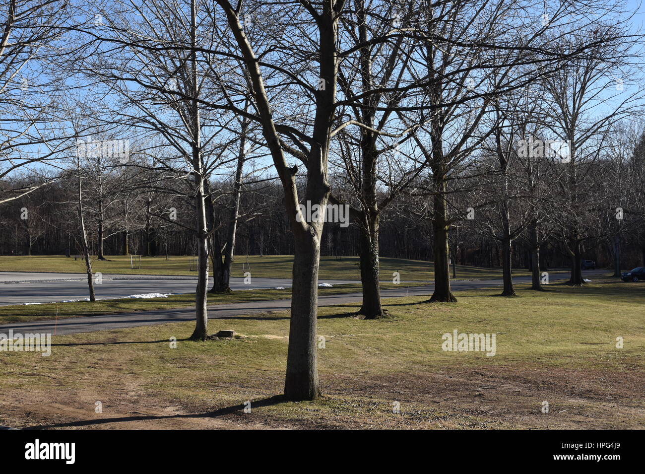 The Sands Point Preserve on the original Guggenheim Estate Stock Photo ...