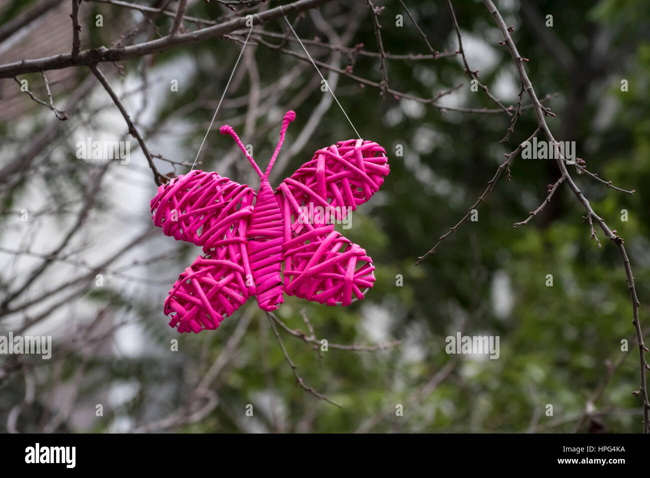 Man made battery on the tree Stock Photo - Alamy