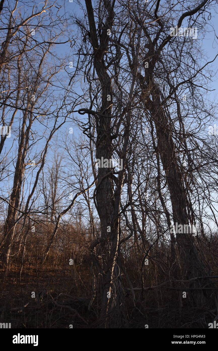 The Sands Point Preserve on the original Guggenheim Estate Stock Photo ...