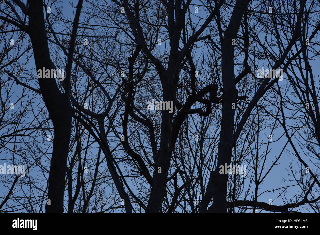 The Sands Point Preserve on the original Guggenheim Estate Stock Photo ...