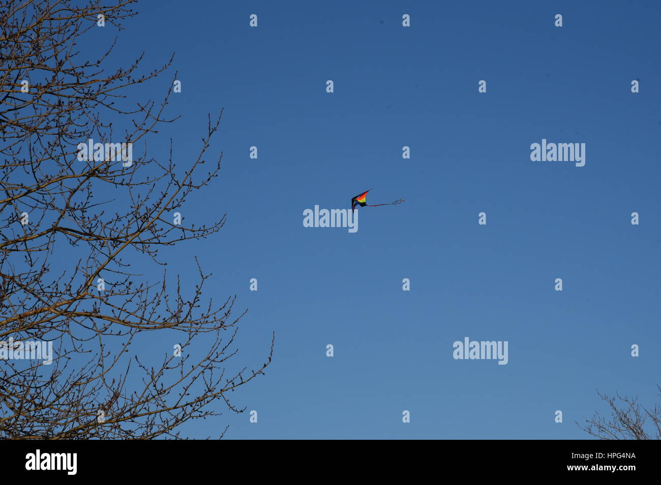 The Sands Point Preserve on the original Guggenheim Estate Stock Photo ...