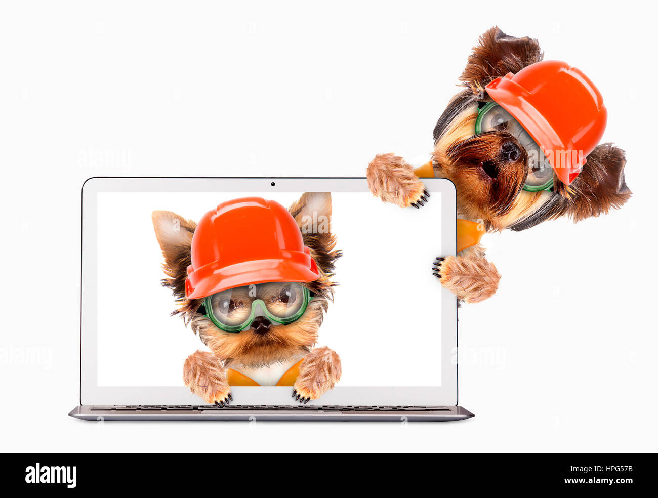 Repairman fixing broken computer Cut Out Stock Images & Pictures - Alamy