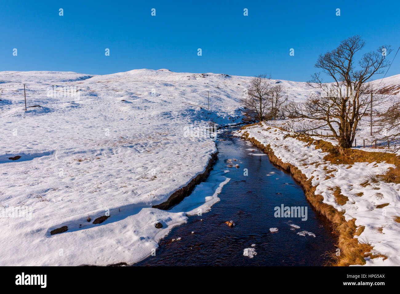 Calder park hi-res stock photography and images - Alamy