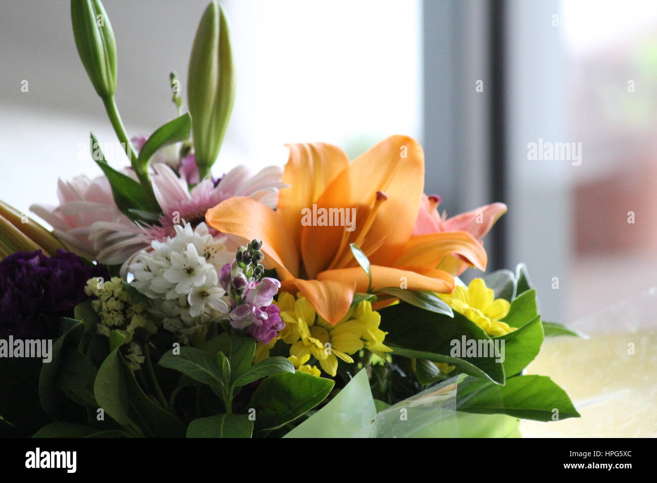 Fresh lily flowers hi-res stock photography and images - Alamy