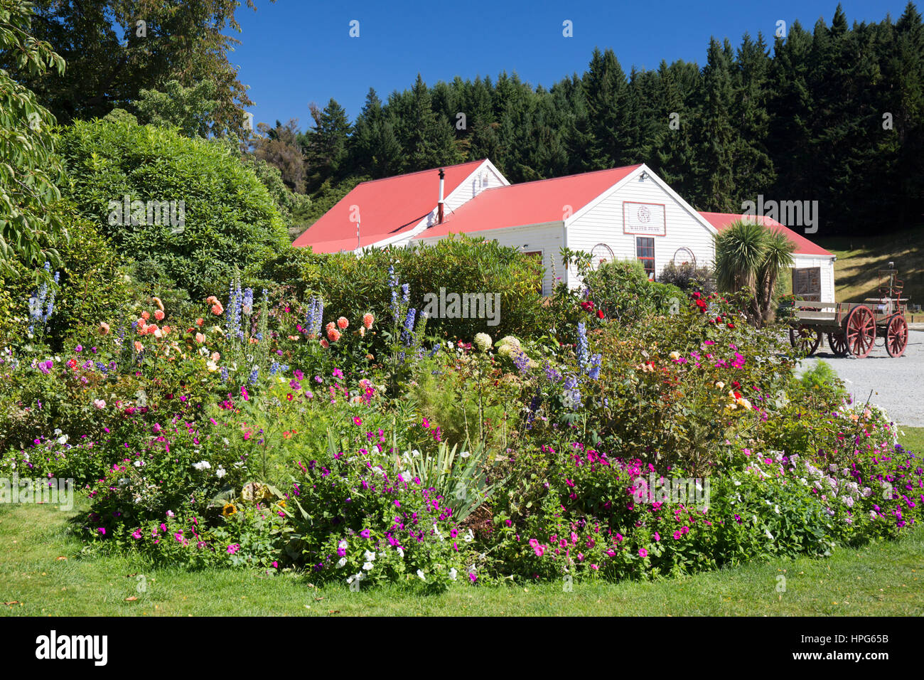 New zealand farm scene hi-res stock photography and images - Alamy