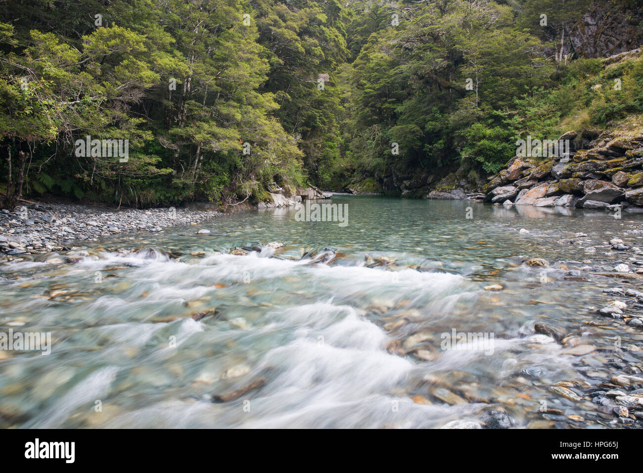 Haast Pass, Mount Aspiring National Park, West Coast, New Zealand. The ...