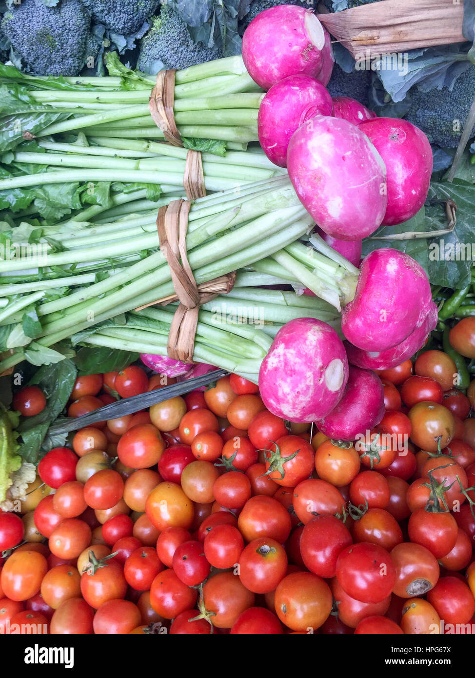Capsicum shallots hi-res stock photography and images - Alamy