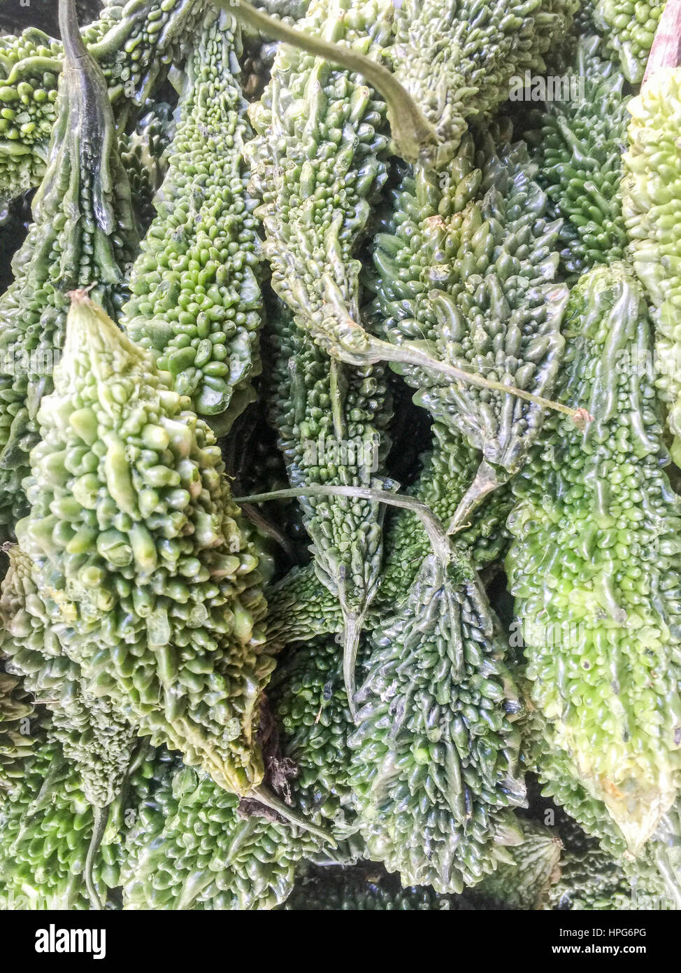 vegetable Bitter Melon on market display on the street market in ...