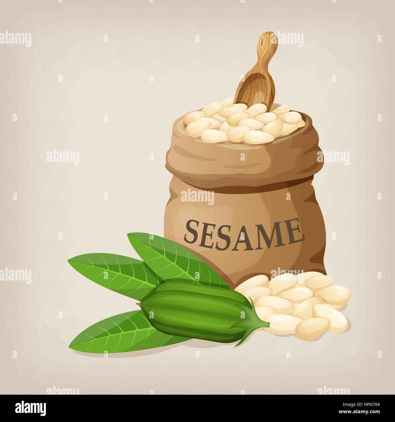 Sesame seeds in sack. Full burlap bag with sesame seeds. Vector ...