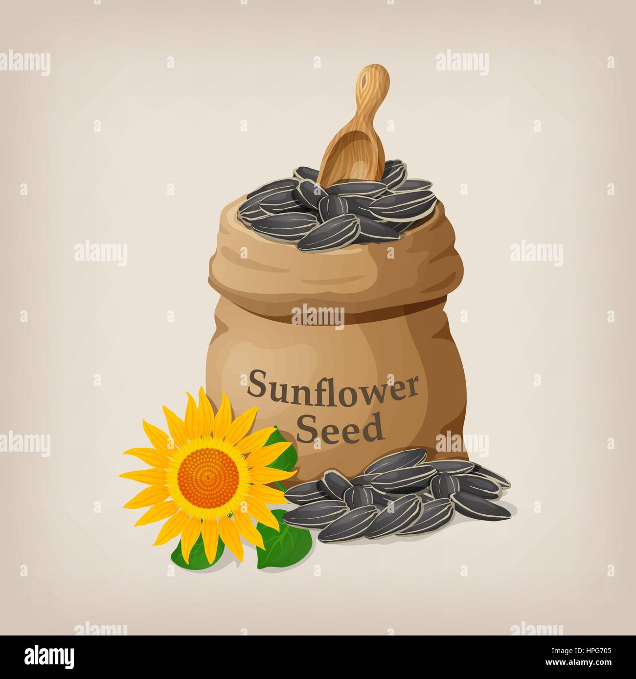 Oil wooden spoon table Stock Vector Images - Alamy